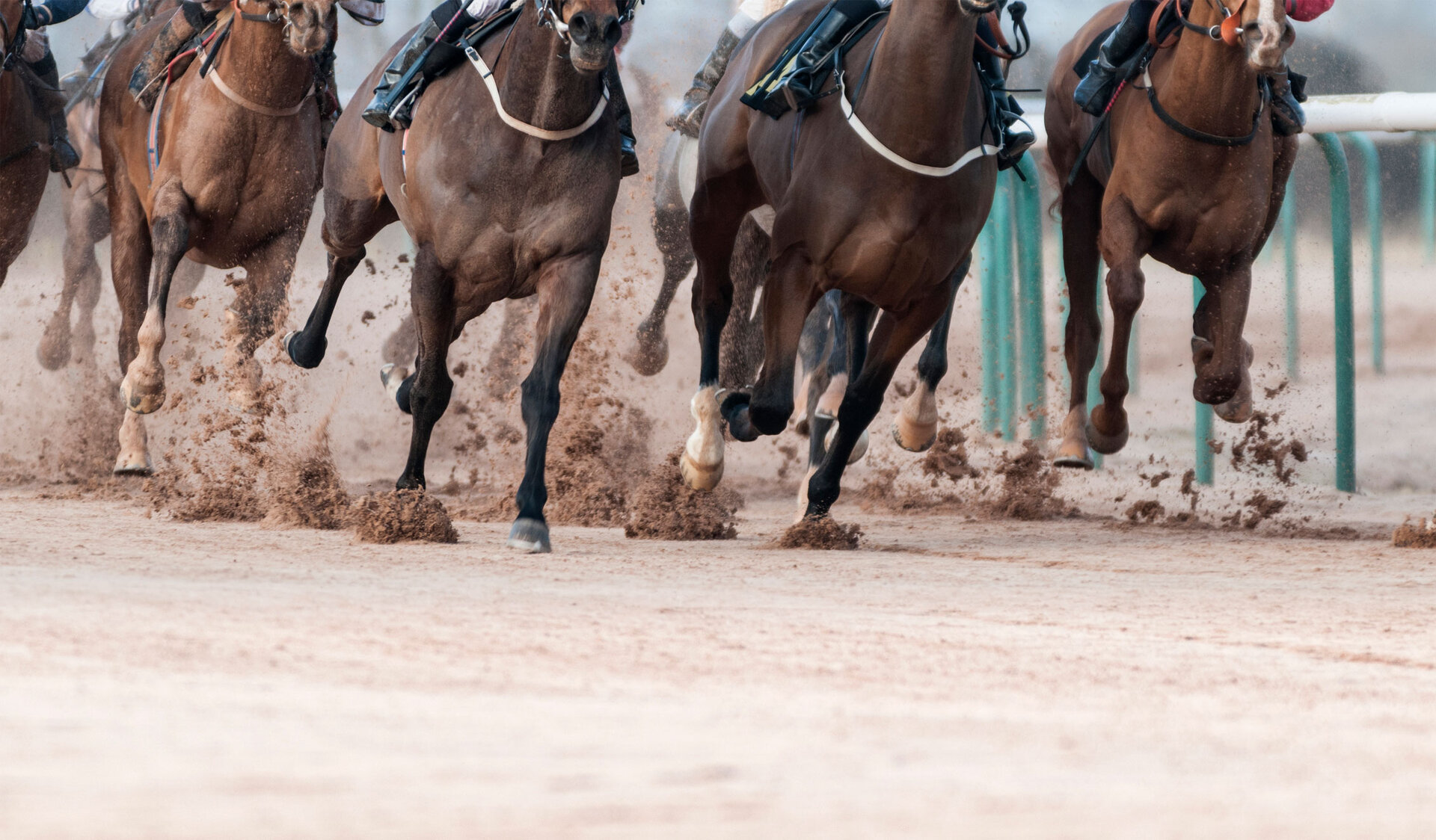 Horse Racing & Track near Denver | Bally's Arapahoe Park