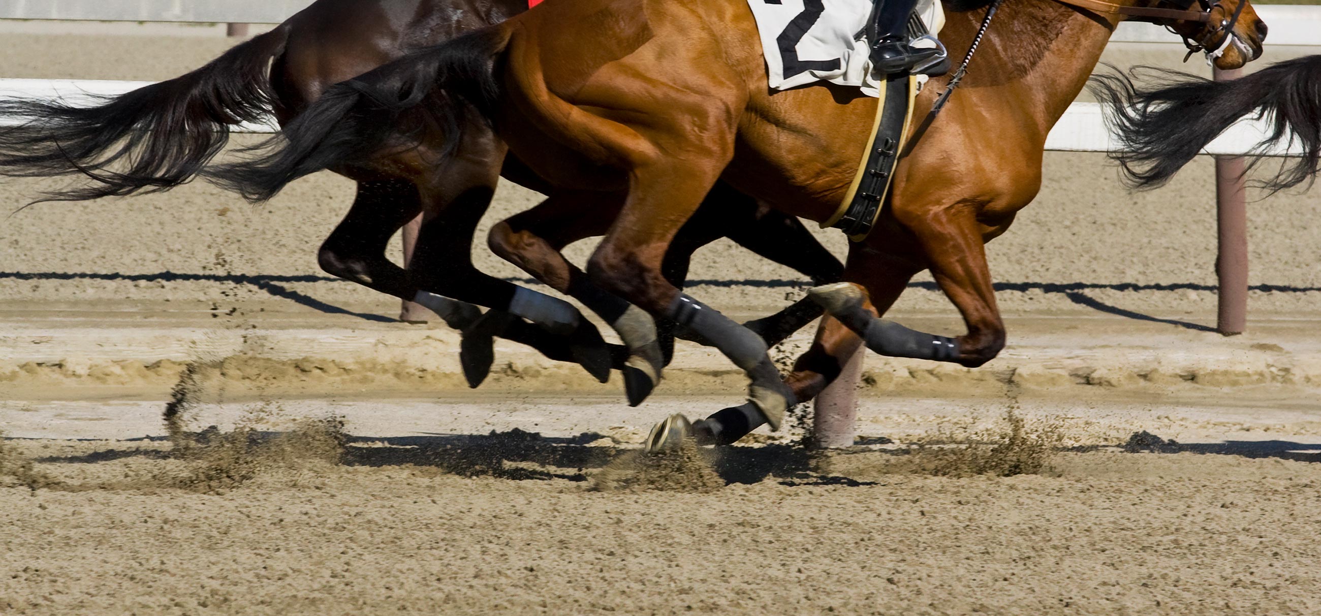 OTB & Live Horse Racing in Colorado | Bally's Arapahoe Park